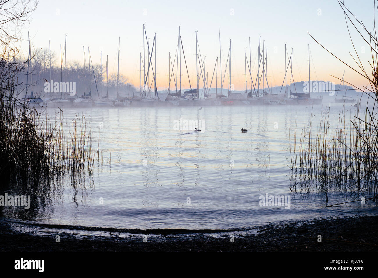 harbor with sailboats at dawn on Lake Maggiore in winter Stock Photo ...
