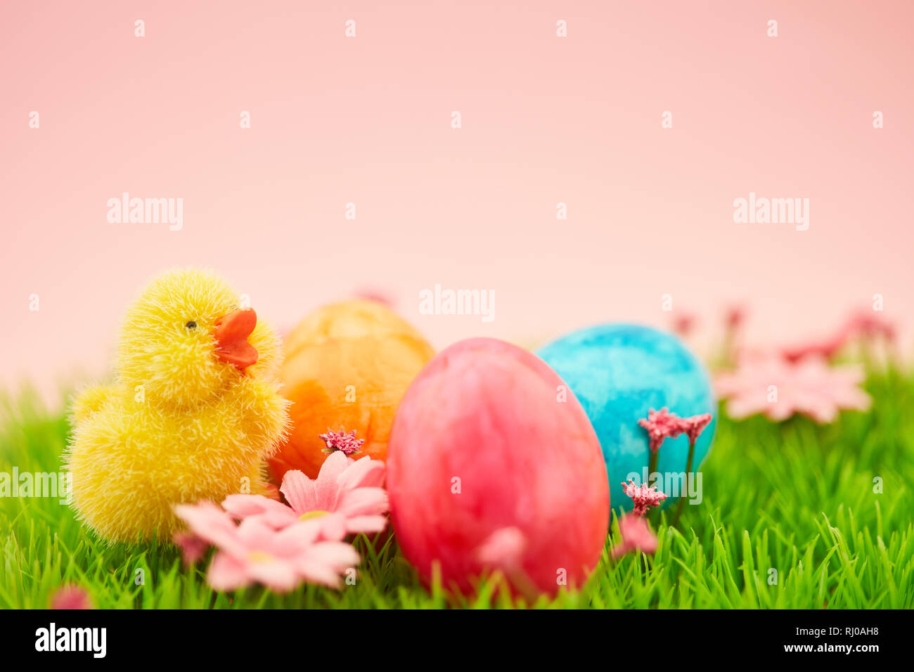 Colorful easter design background with easter egg and chicks Stock ...
