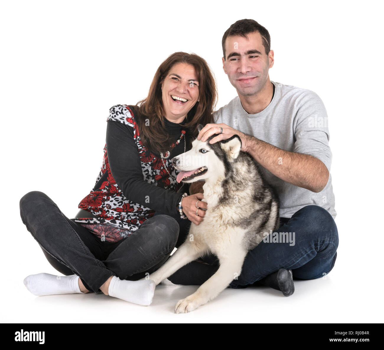 siberian husky and owners in front of white background Stock Photo - Alamy