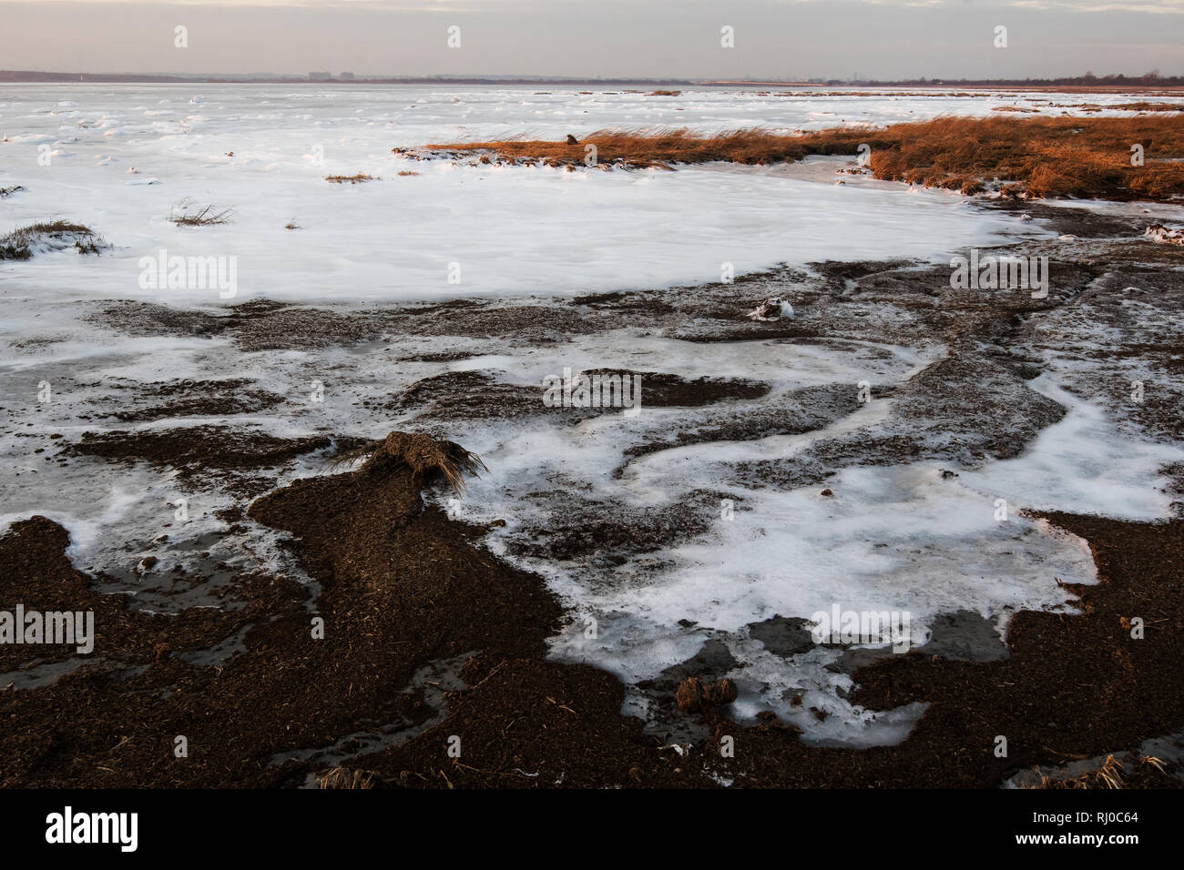 Frozen salt marsh at Jamaica Bay Stock Photo - Alamy