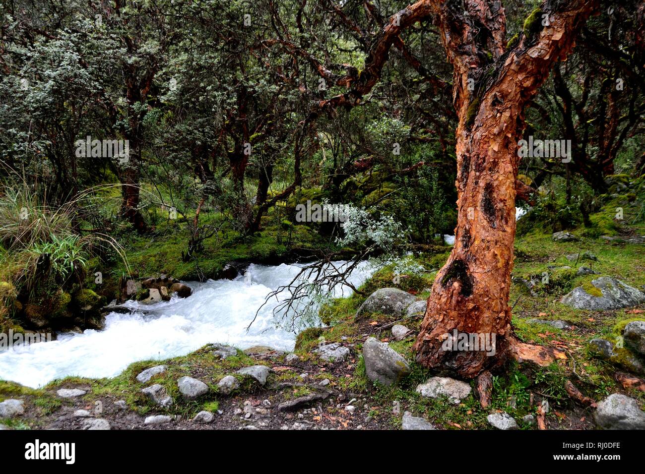 Lake 69, huascarán national park hi-res stock photography and images ...