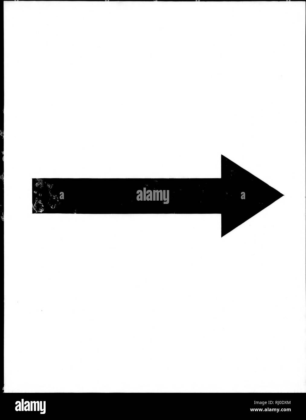 Jameson boyd hi-res stock photography and images - Alamy