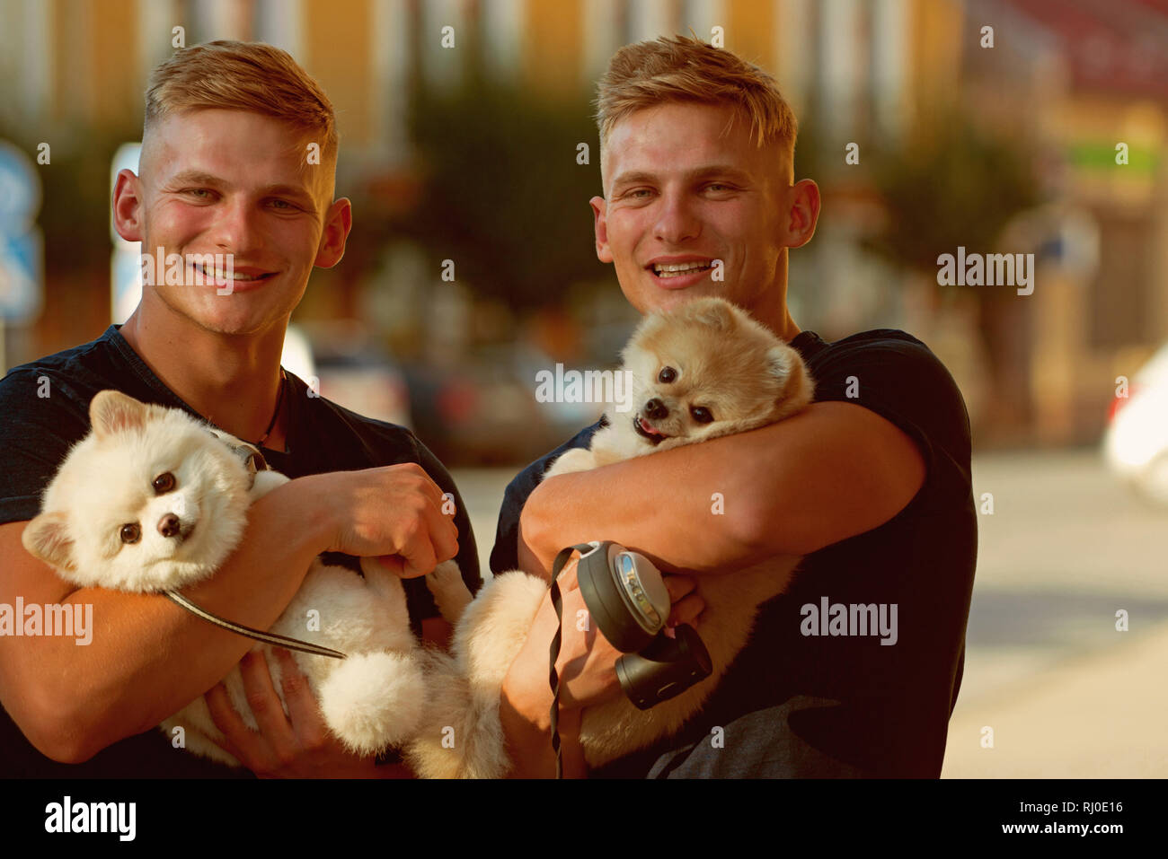 True joy of just being around. Spitz dogs love the company of their ...