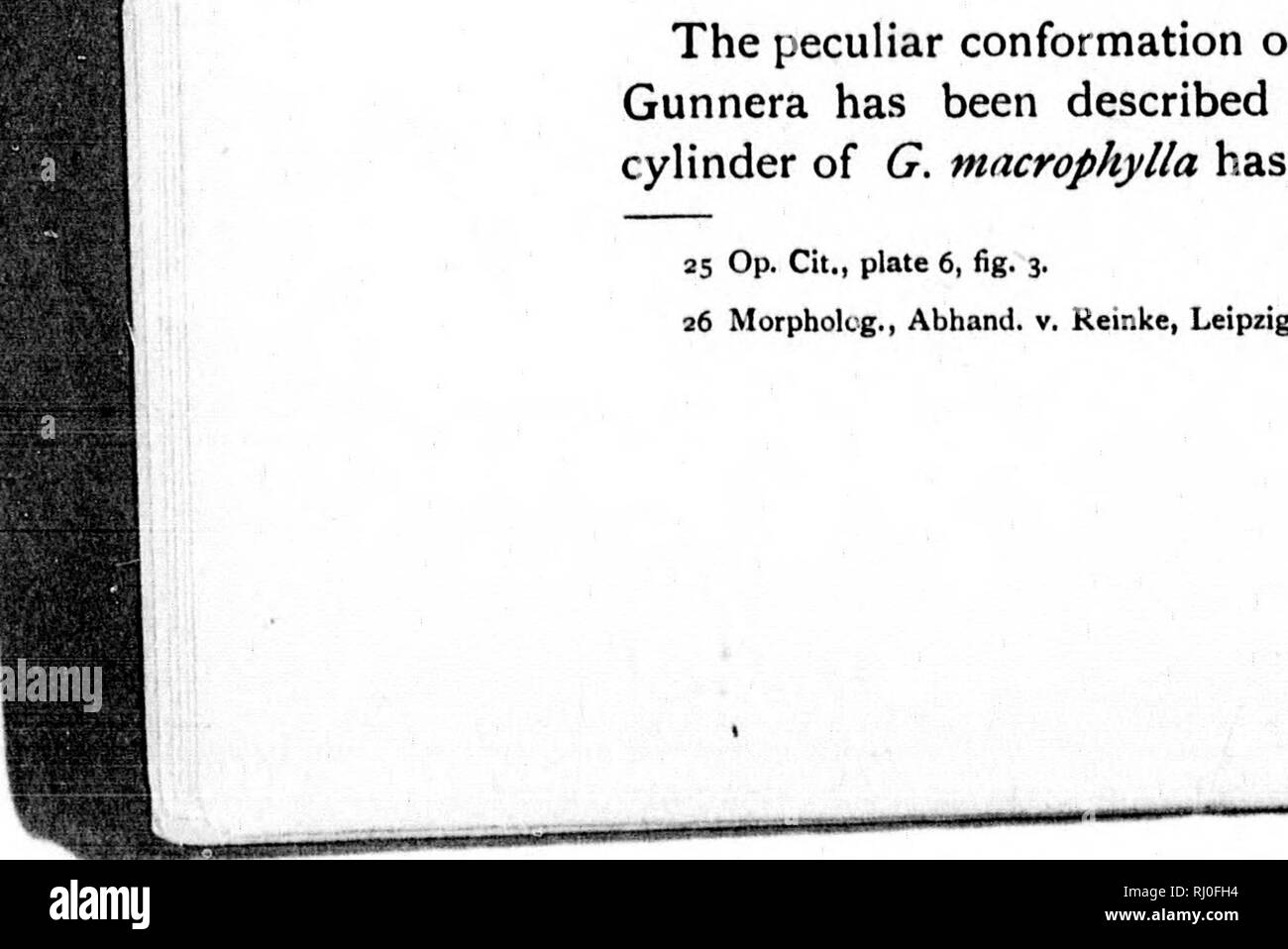 . The morphology of the central cylinder in the angiosperms [microform ...