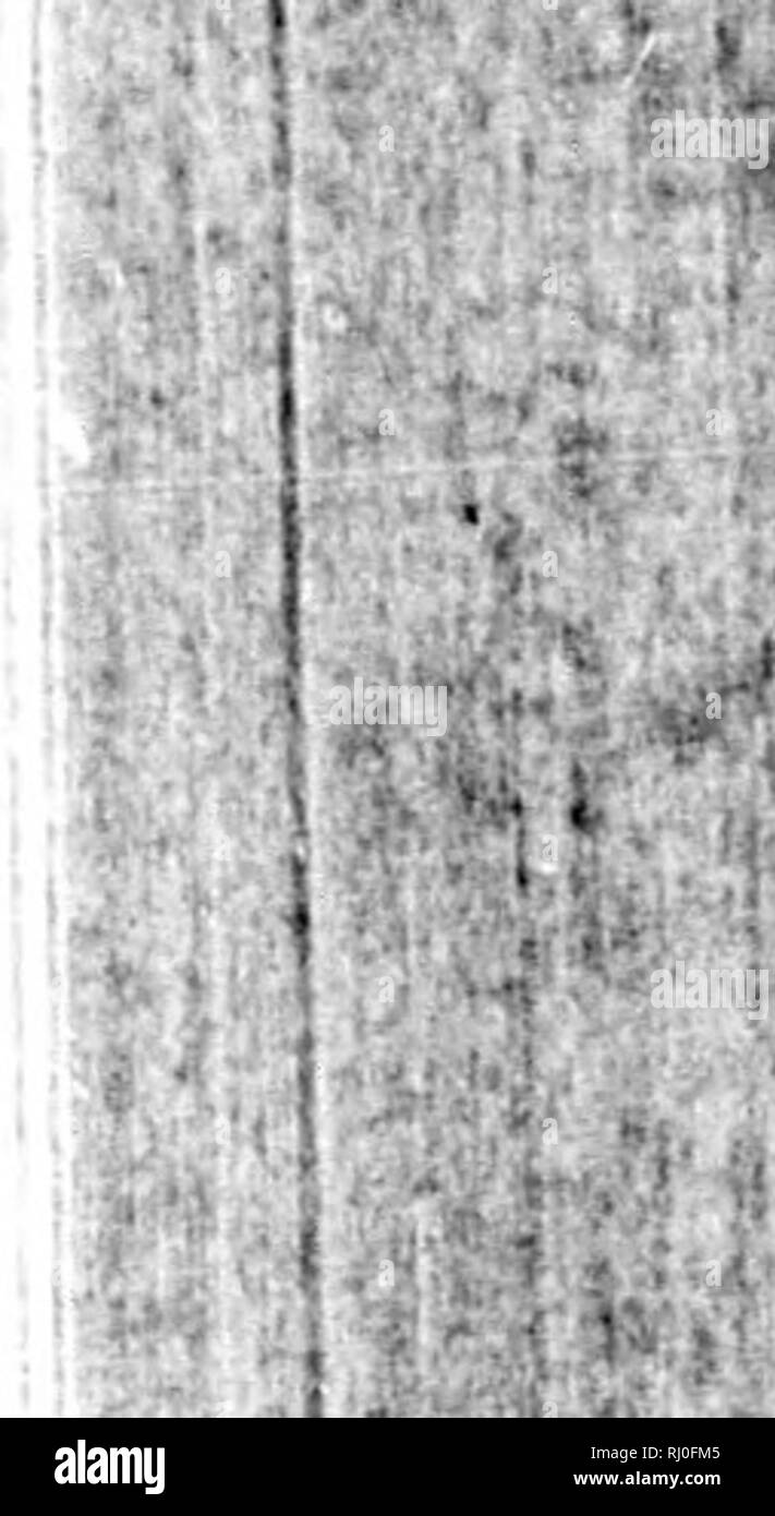 . A voyage round the world in the years 1785, 1786, 1787 and 1788 ...