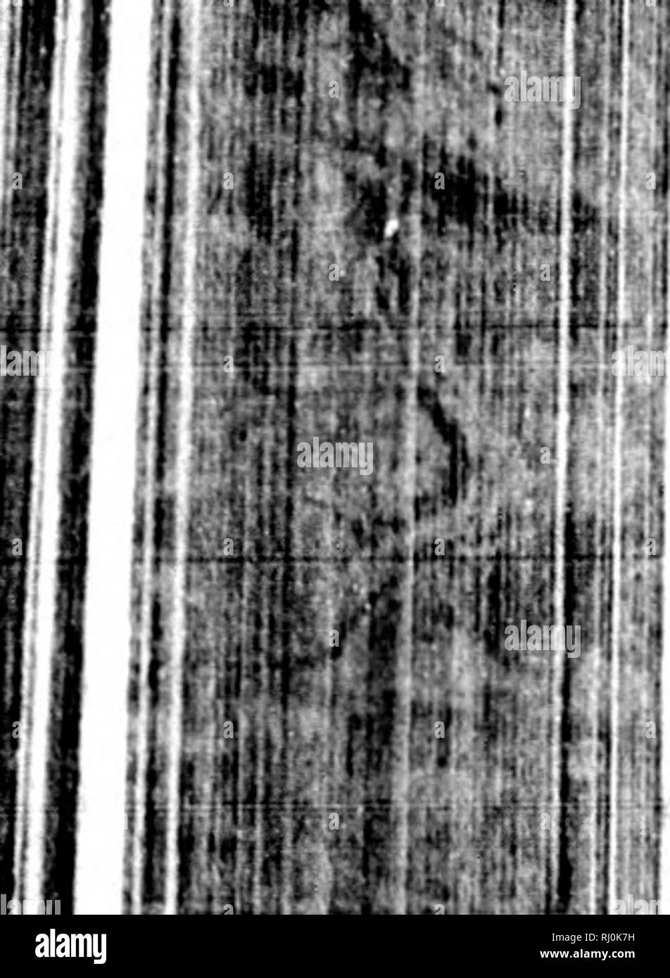 Navigation obstruction Black and White Stock Photos & Images - Alamy