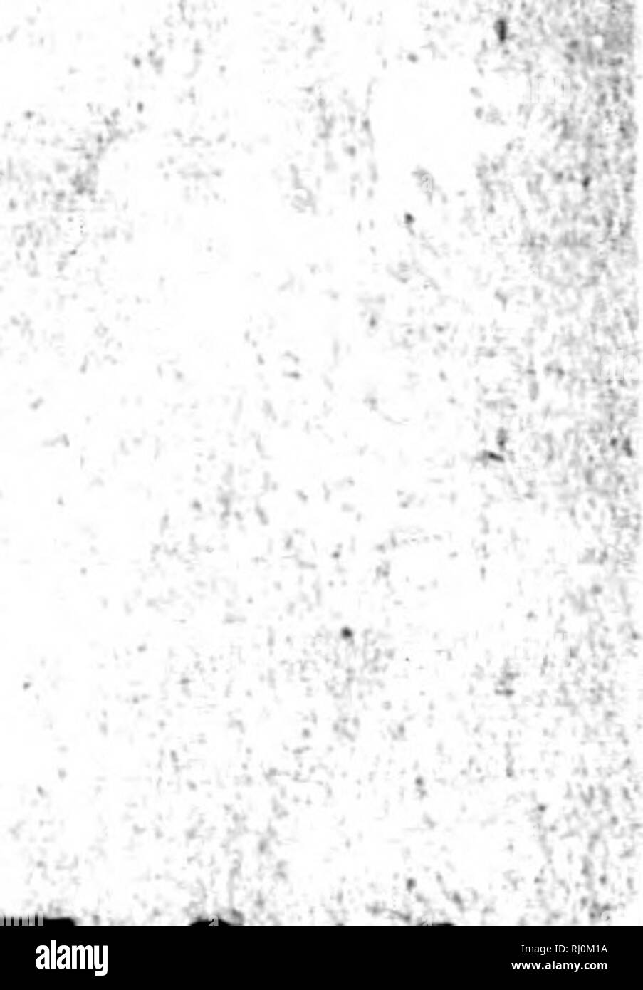 Throax Black and White Stock Photos & Images - Alamy