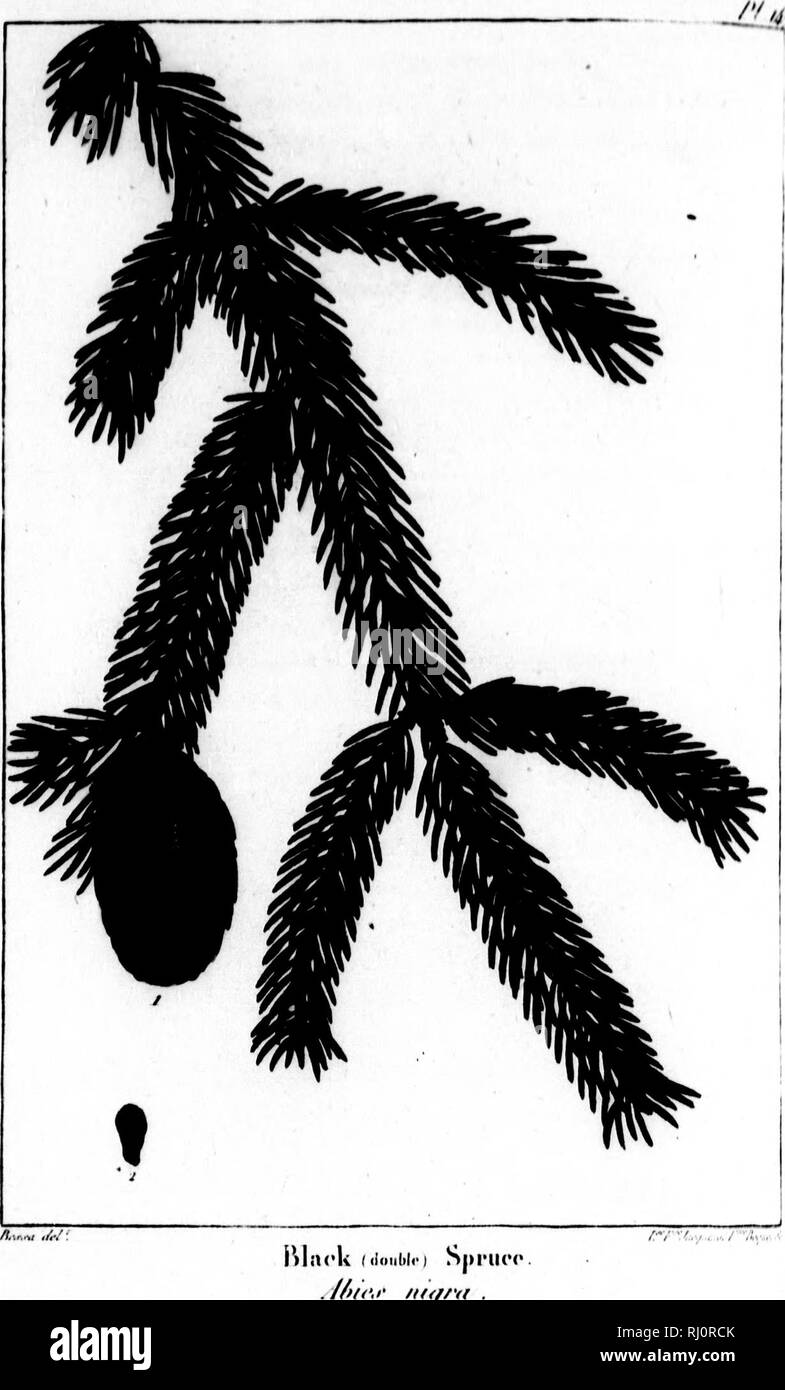 Rai tre Black and White Stock Photos & Images - Alamy