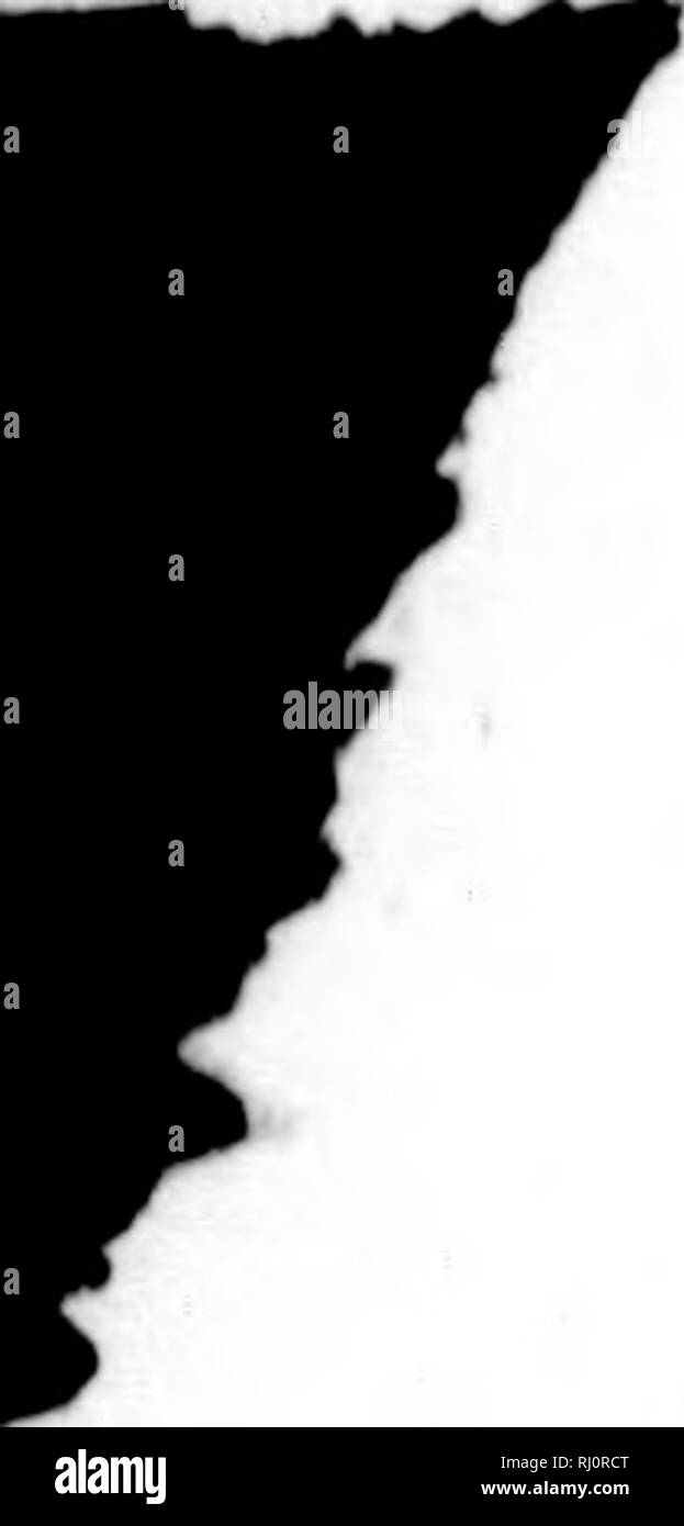 J W W Birch High Resolution Stock Photography and Images - Alamy