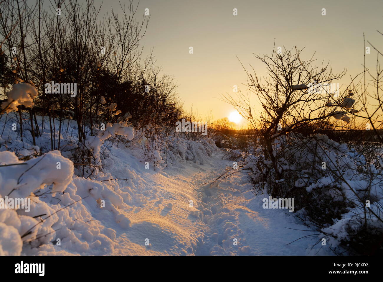 Dummer hampshire england hi-res stock photography and images - Alamy