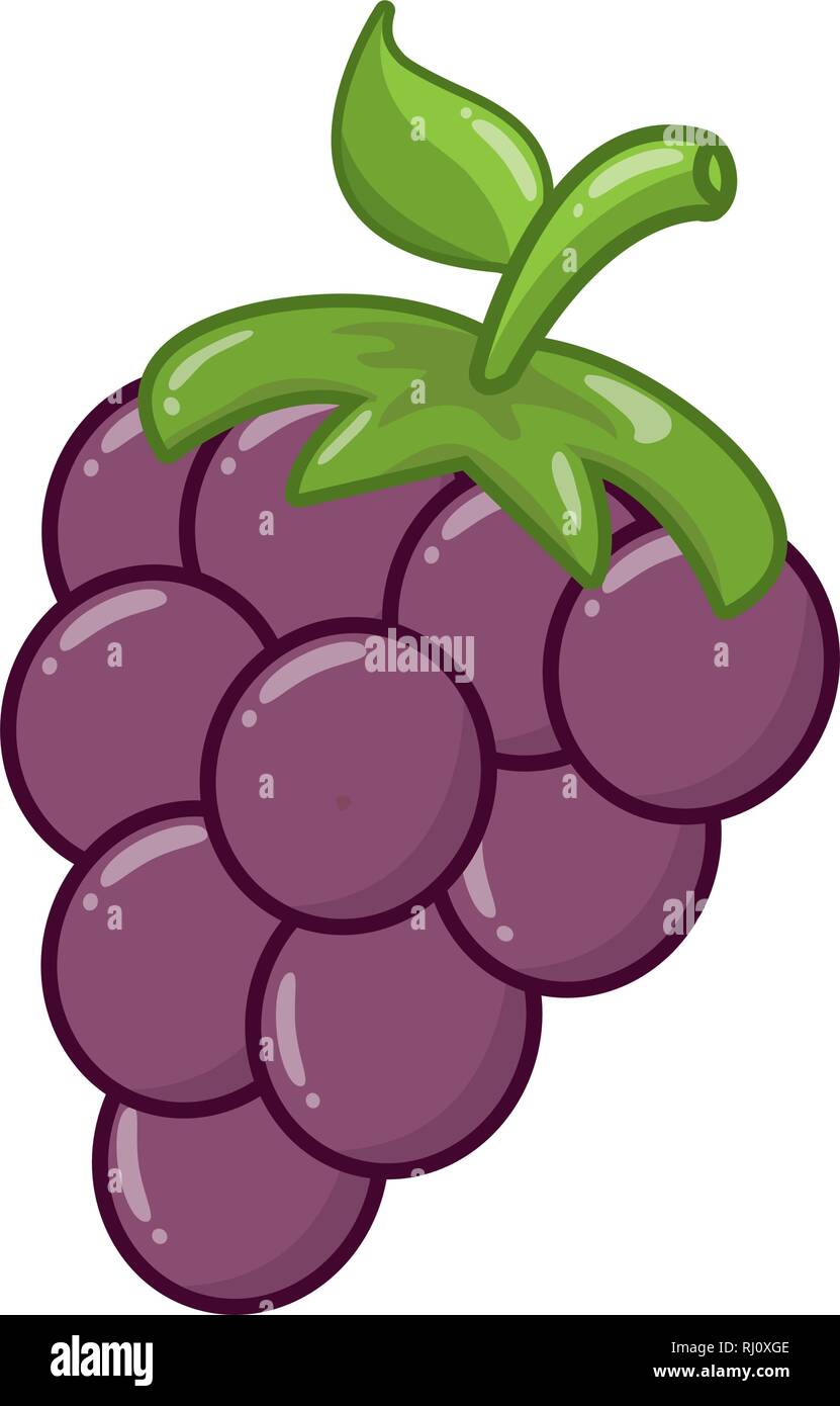 fresh fruit grapes Stock Vector Image & Art - Alamy