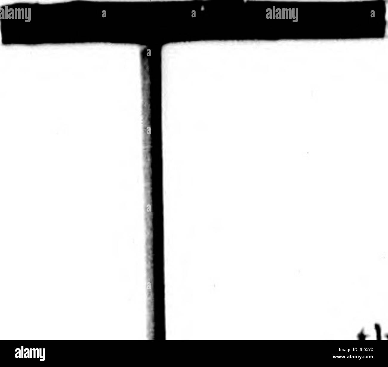 Lit tents Black and White Stock Photos & Images - Alamy