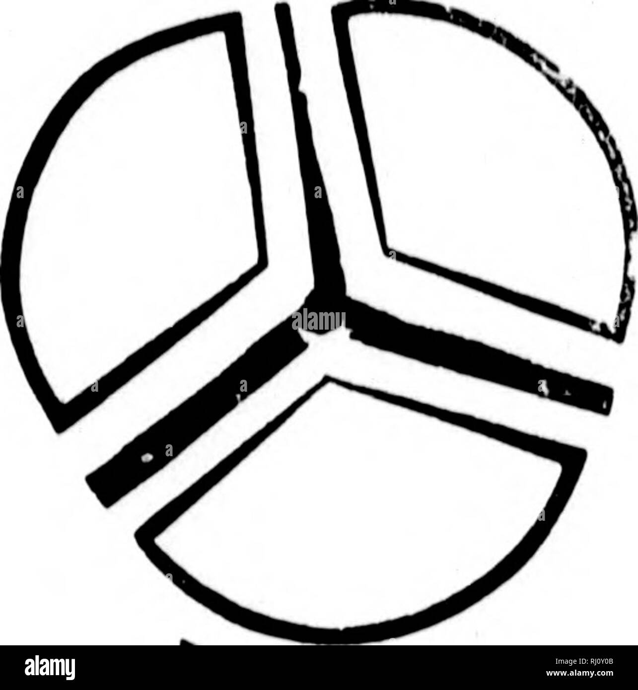 Septicidal hi-res stock photography and images - Alamy