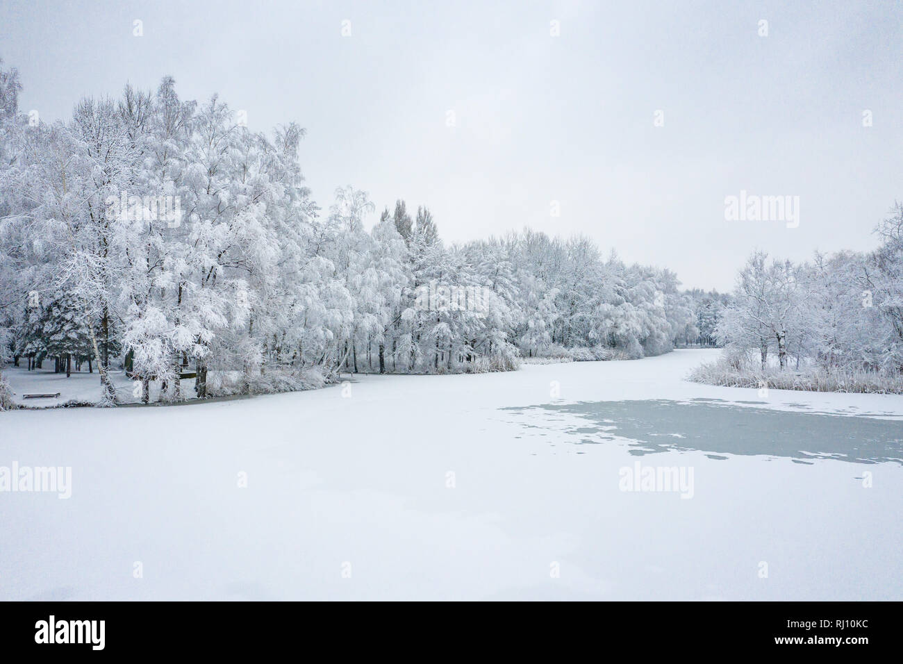 Aerial view of winter beautiful landscape with trees covered with ...