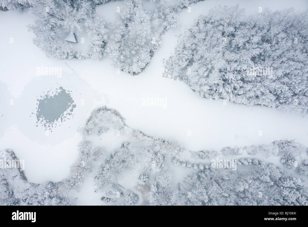Aerial view of winter beautiful landscape with trees covered with ...