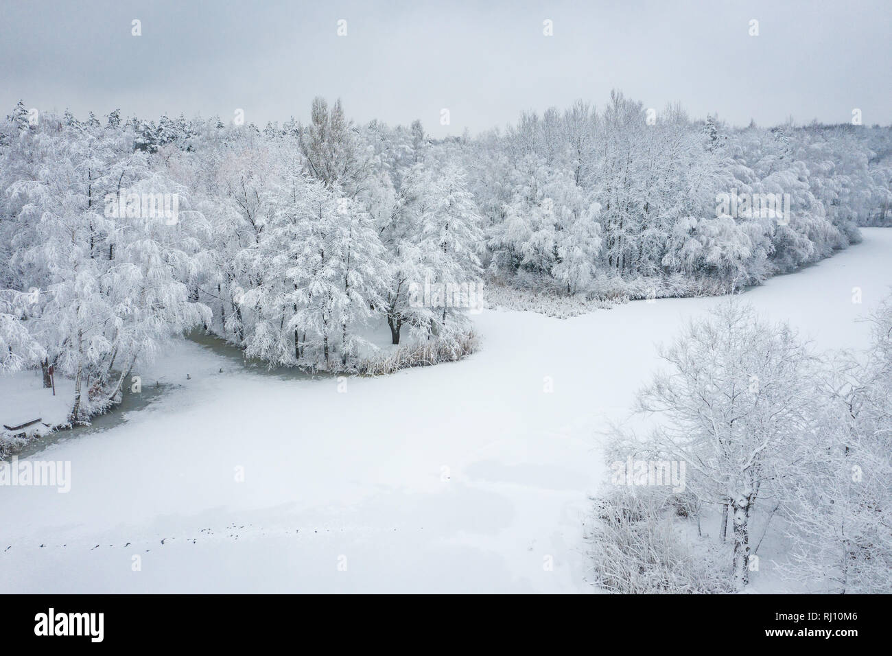 Aerial view of winter beautiful landscape with trees covered with ...