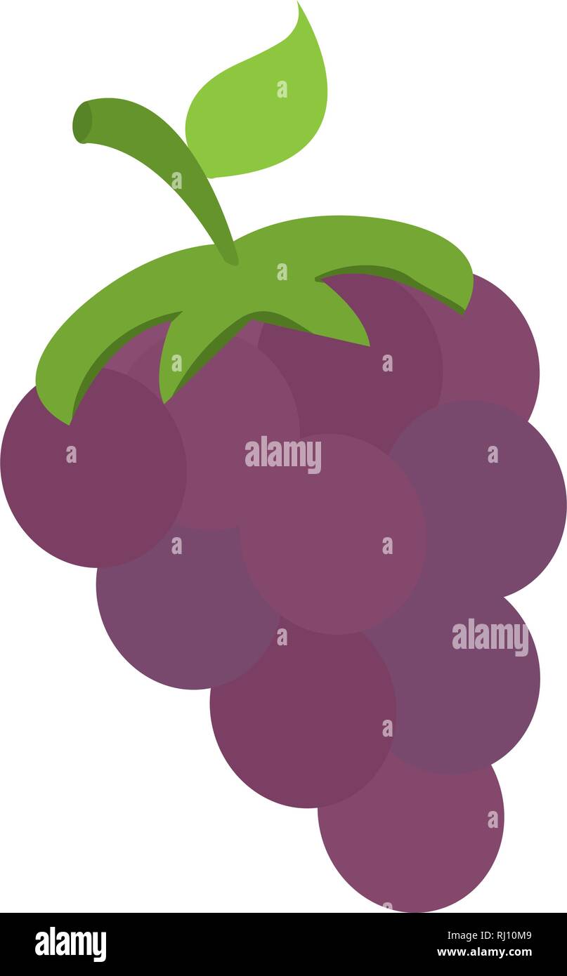 fresh fruit grapes Stock Vector Image & Art - Alamy