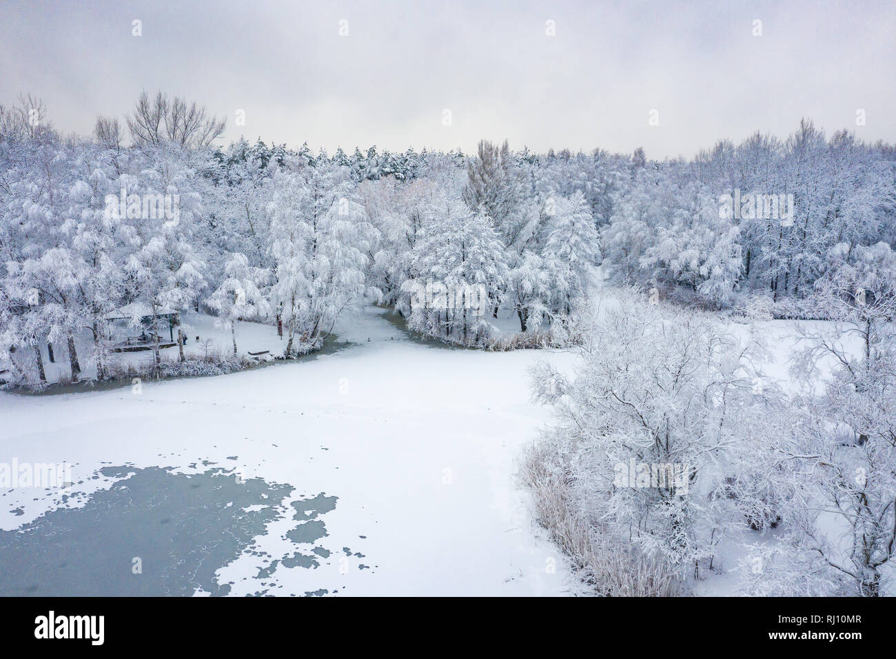 Aerial view of winter beautiful landscape with trees covered with ...