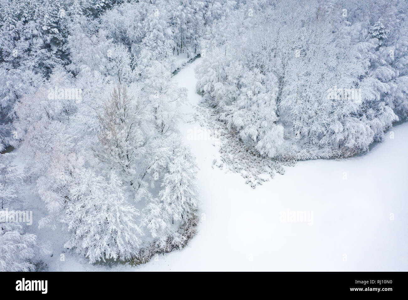 Aerial view of winter beautiful landscape with trees covered with ...
