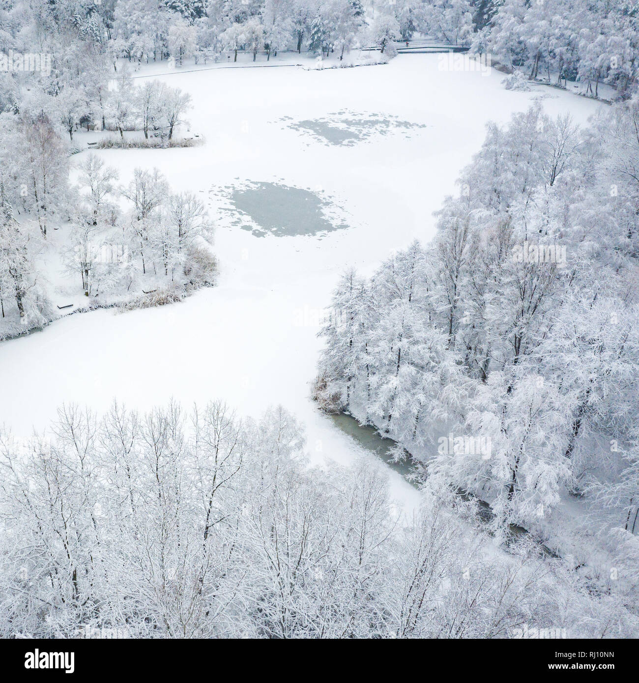 Aerial view of winter beautiful landscape with trees covered with ...