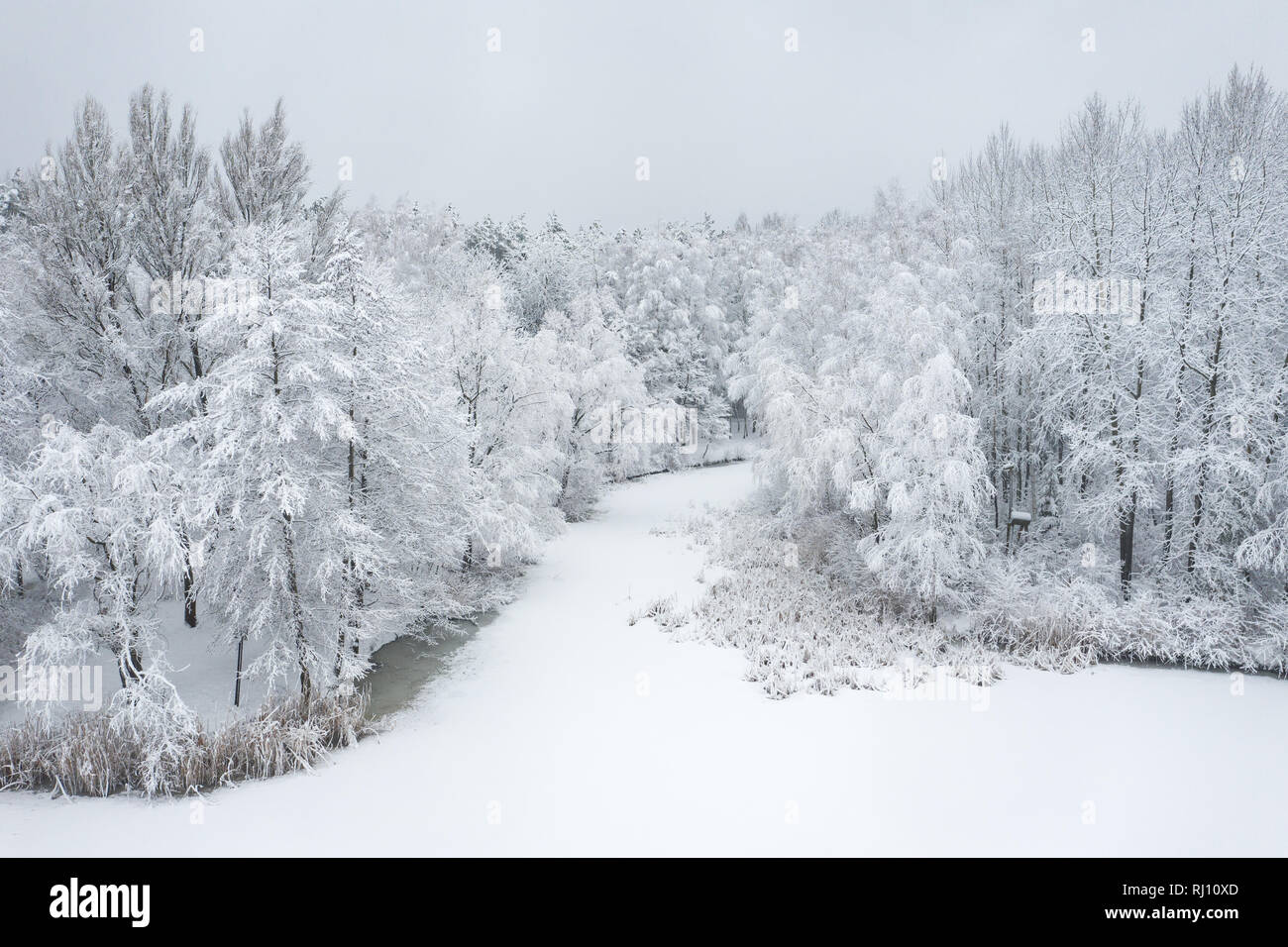 Aerial view of winter beautiful landscape with trees covered with ...