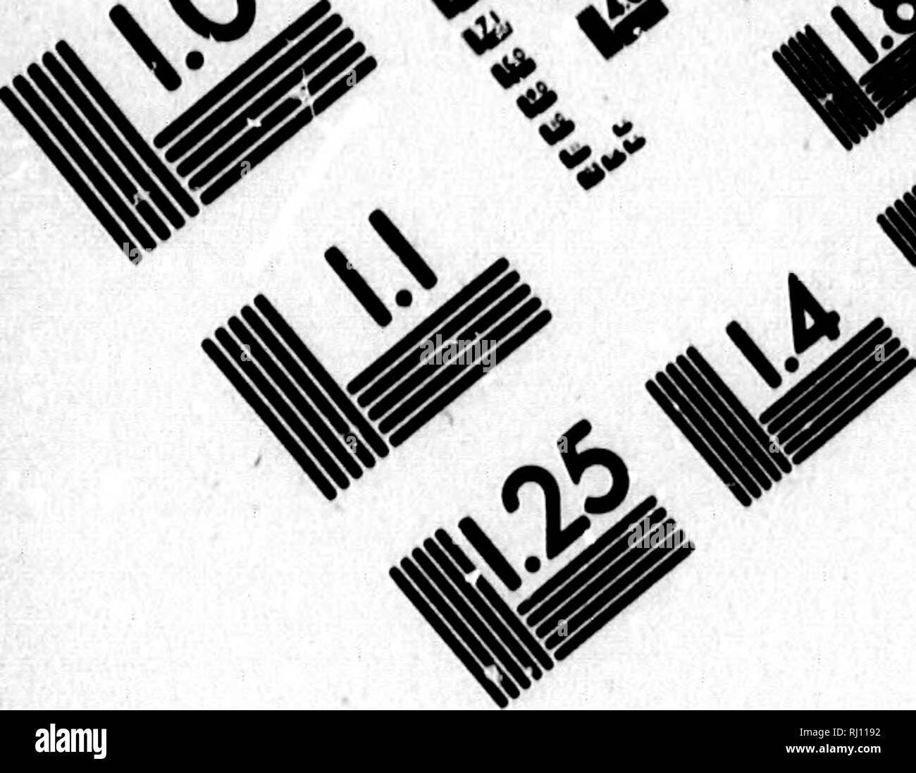 Bia miller hi-res stock photography and images - Alamy