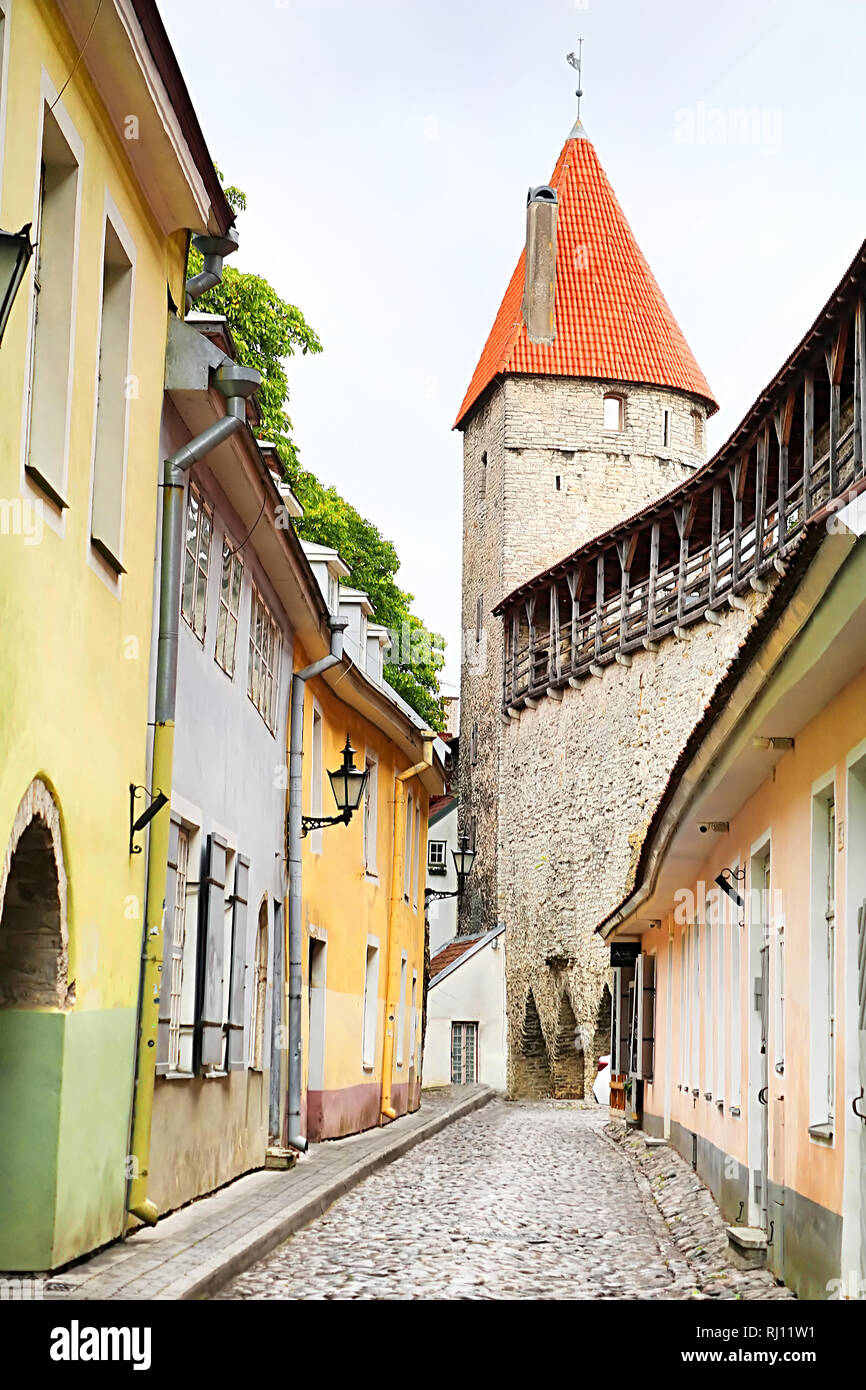 Muurivahe Street and Tower behind Monks in Old town, Tallinn, Estonia ...