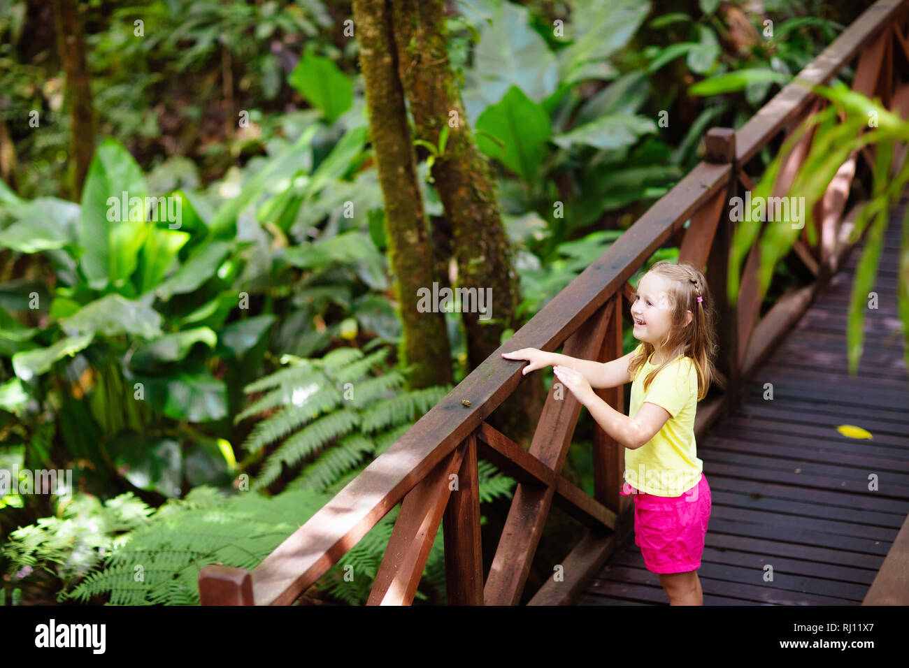 Little girl hiking in jungle. Child looking at wild orchid in tropical ...