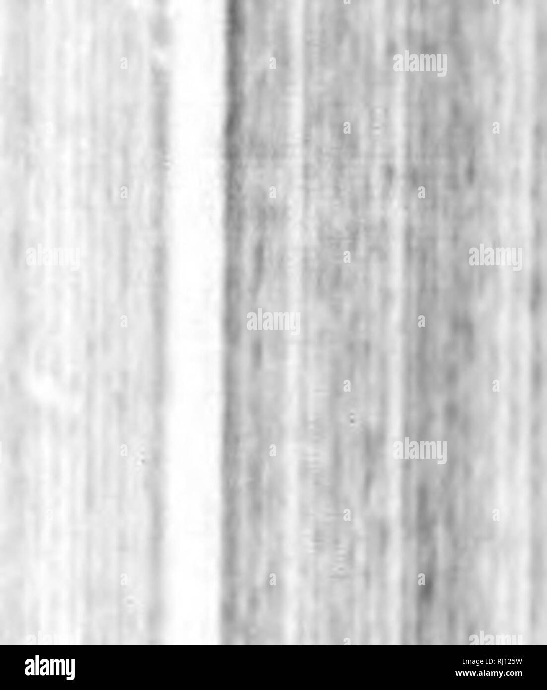 James sligo jameson hi-res stock photography and images - Alamy