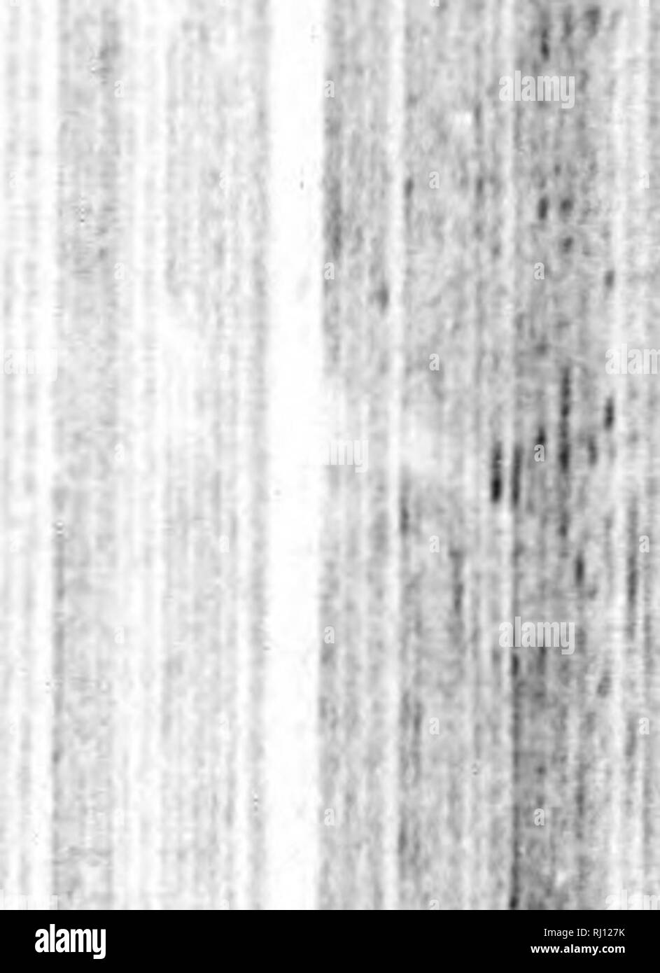 James sligo jameson hi-res stock photography and images - Alamy