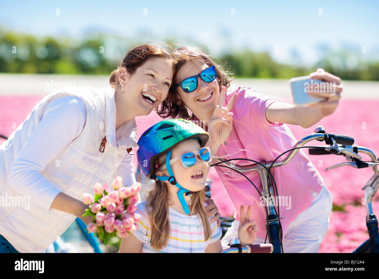 Dutch family riding bicycle in tulip flower fields in Netherlands ...
