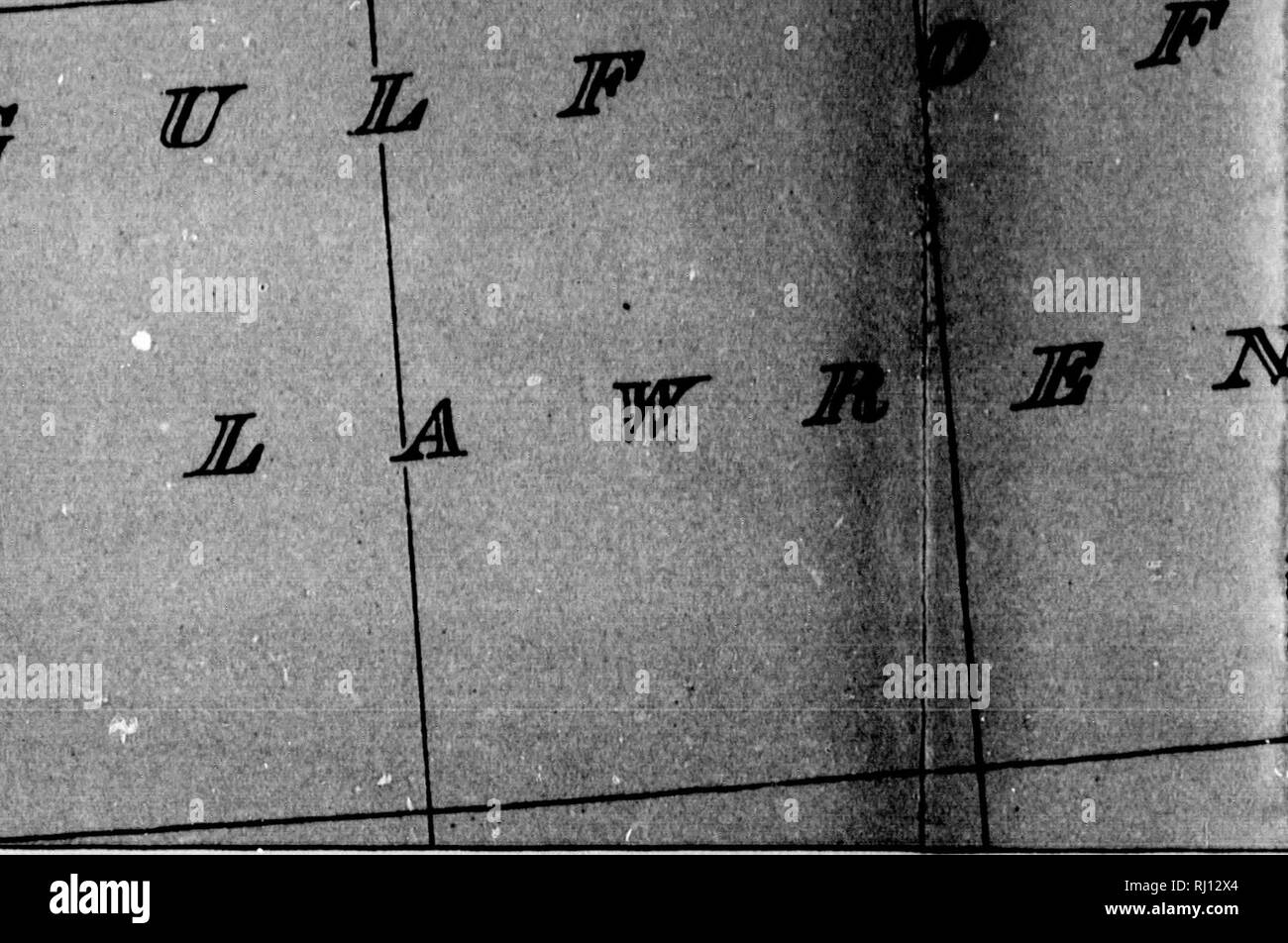 Labrador j m hi-res stock photography and images - Alamy