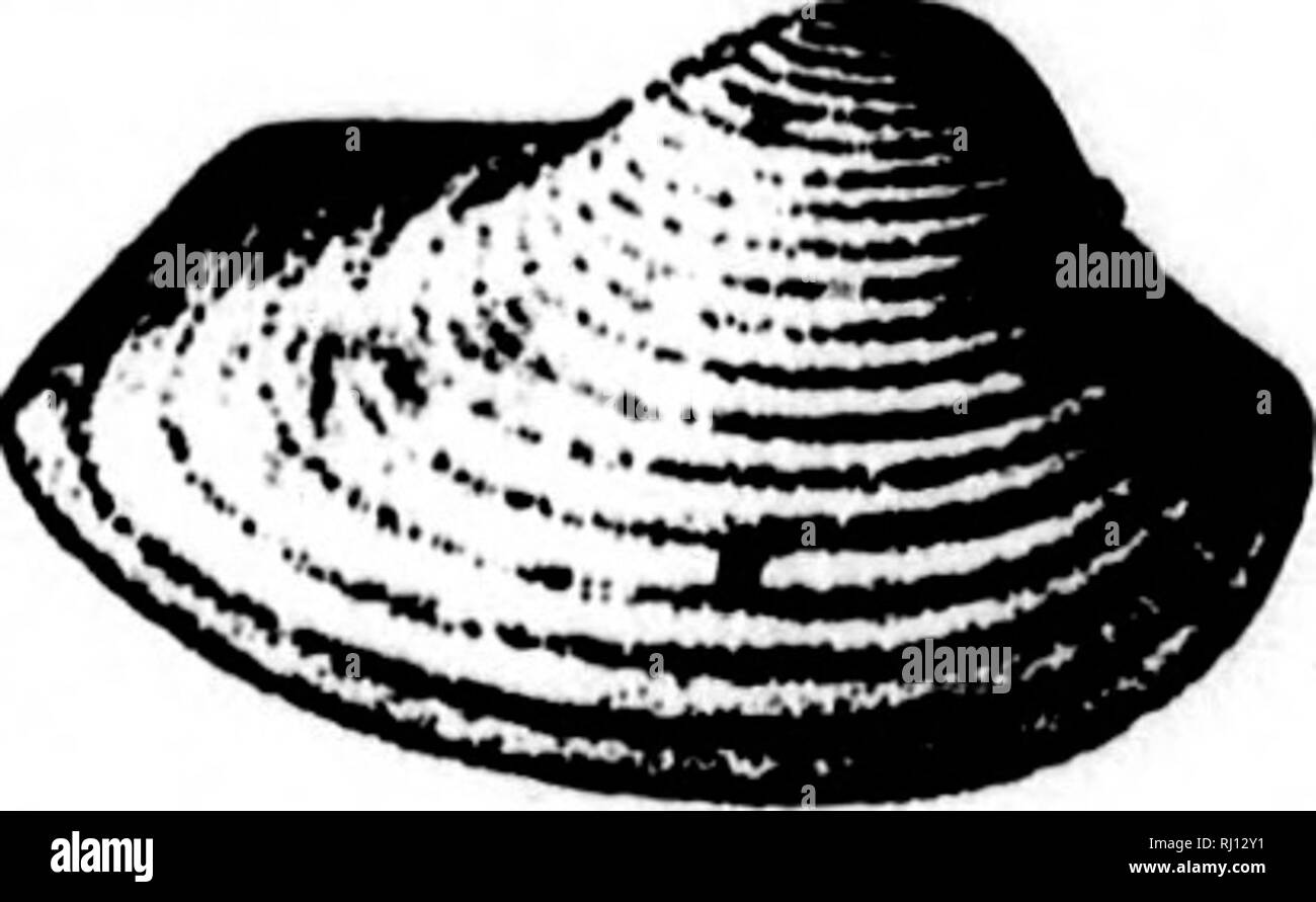 6 57 gr Black and White Stock Photos & Images - Alamy