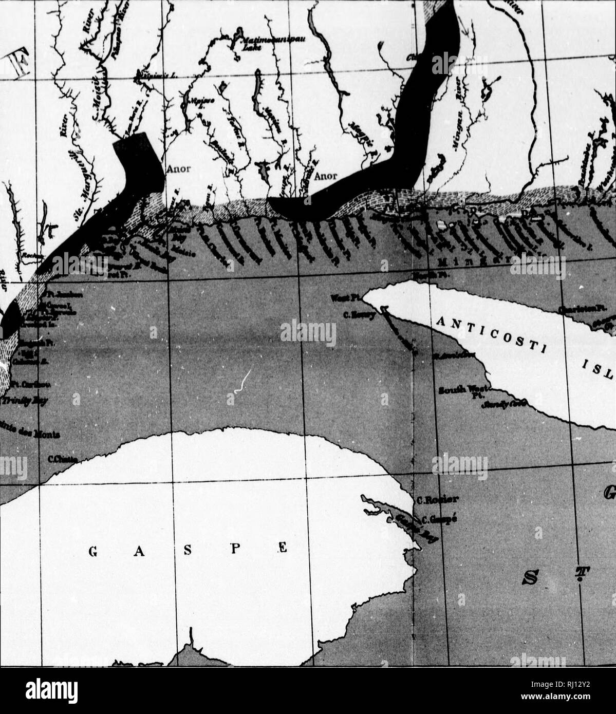 Labrador r Black and White Stock Photos & Images - Alamy