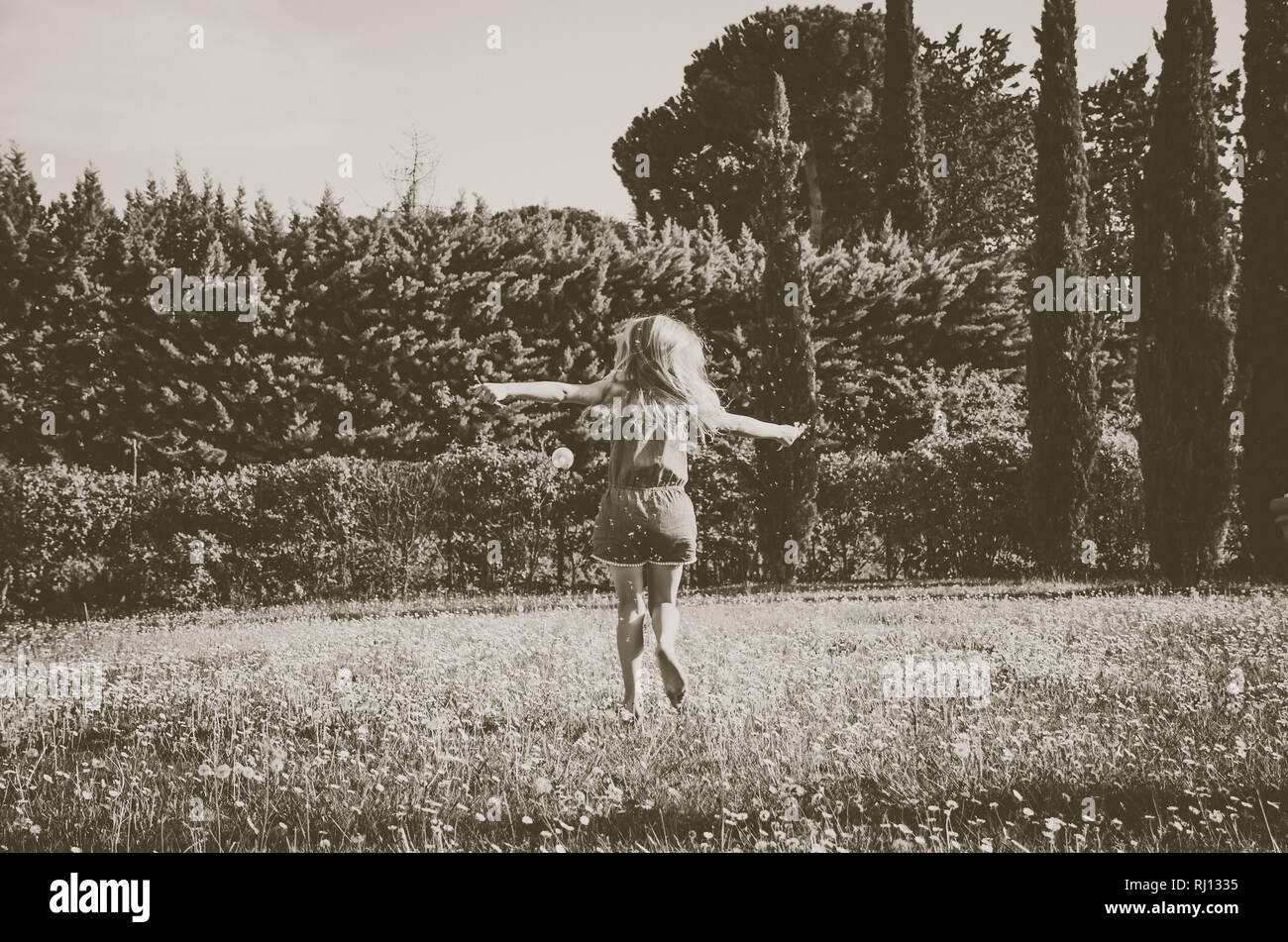 adorable little girl outdoors in meadow full of daisies dancing Stock ...