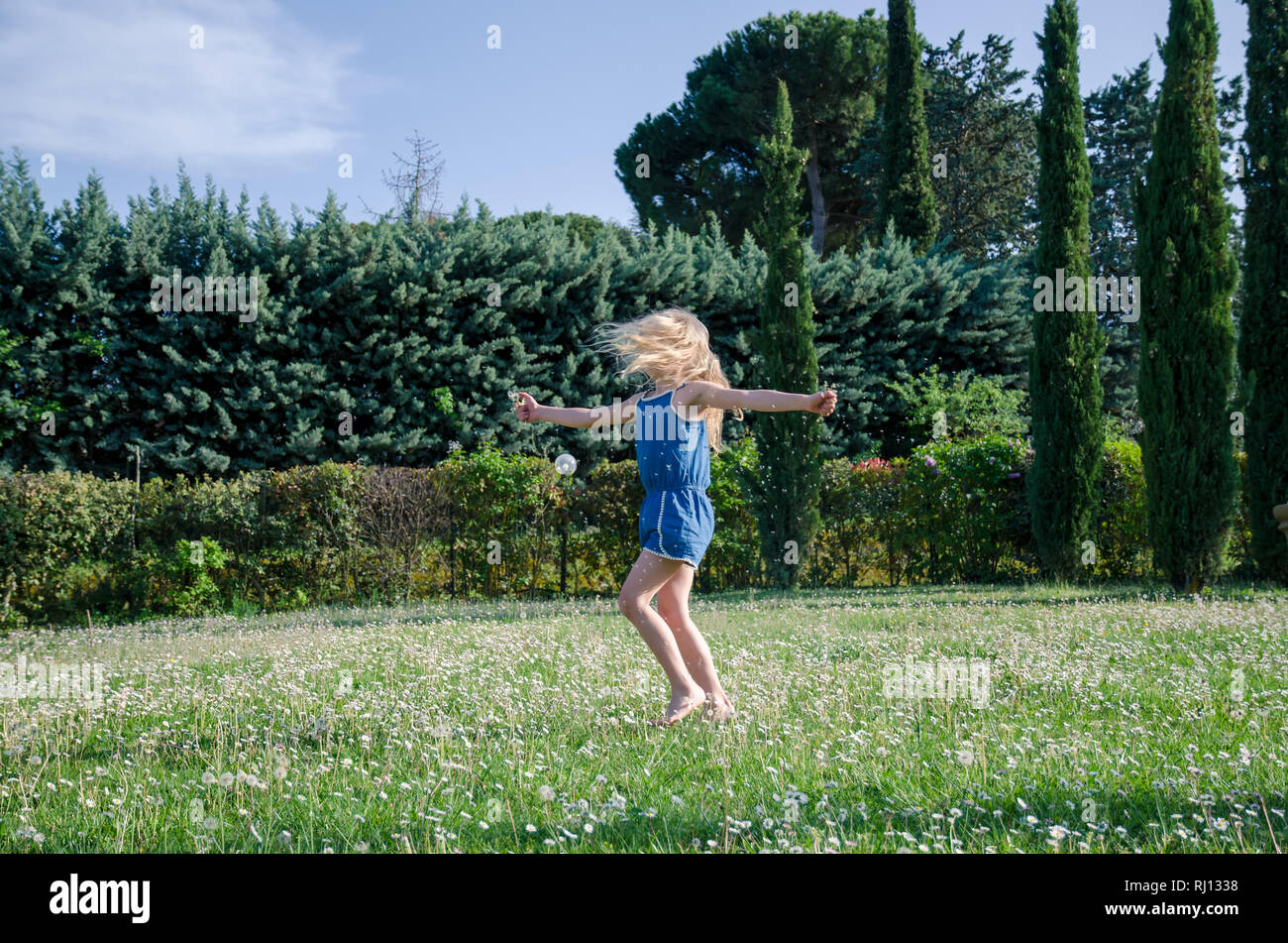 Dancing daisy hi-res stock photography and images - Alamy