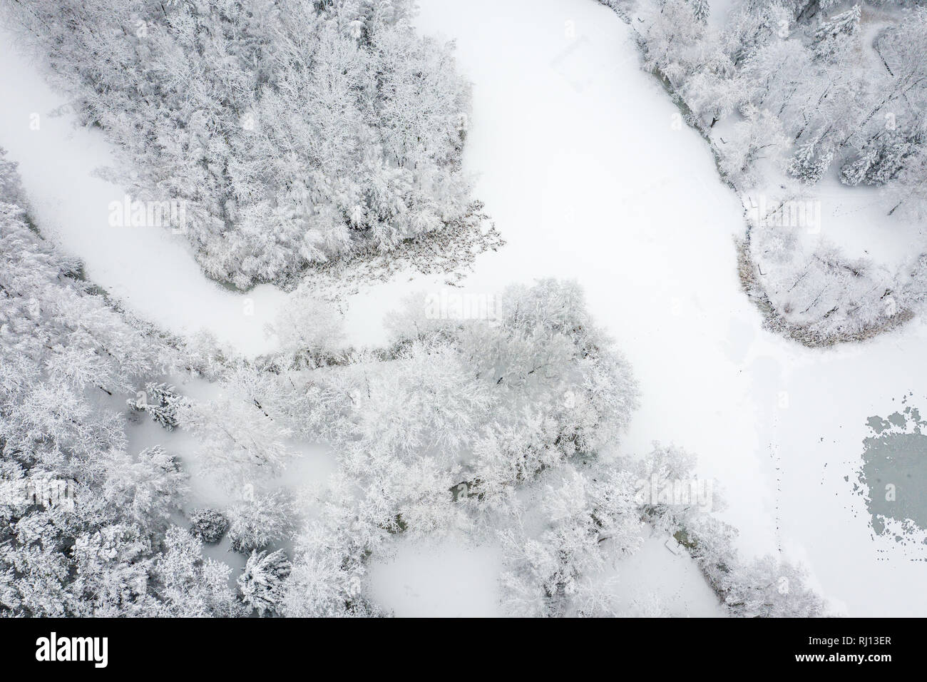 Aerial view of winter beautiful landscape with trees covered with ...