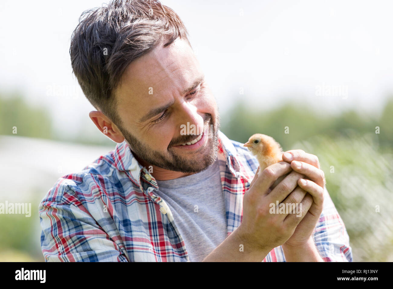 Man Holding Chick High Resolution Stock Photography and Images - Alamy