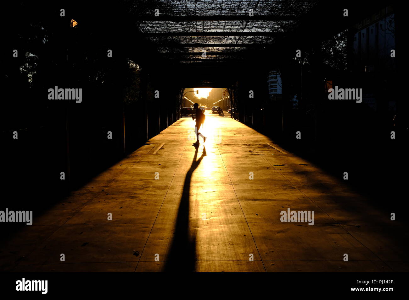 Sunlight sun flare trees walkway hi-res stock photography and images ...