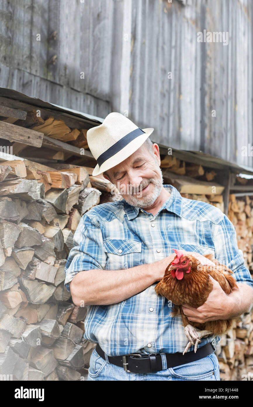 Man with hen hi-res stock photography and images - Alamy