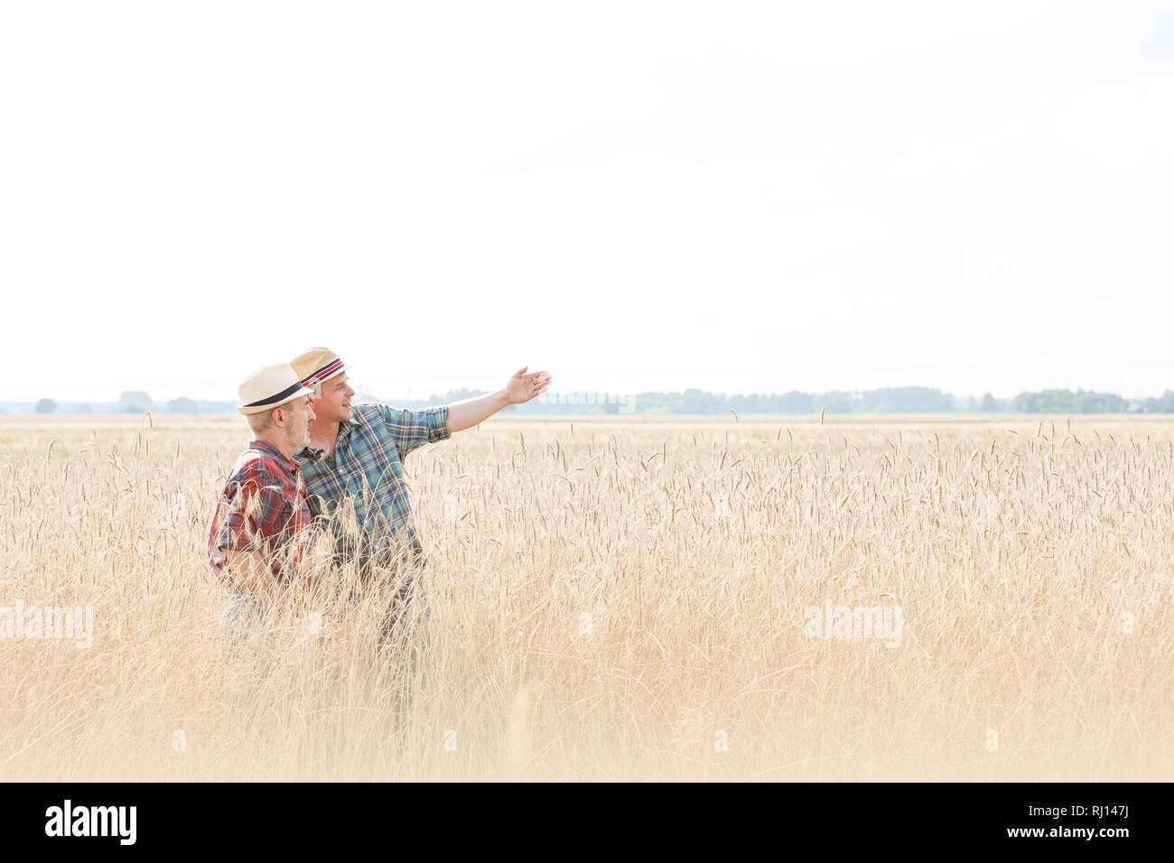 Farmers talking while standing amidst wheat crops at farm against sky ...