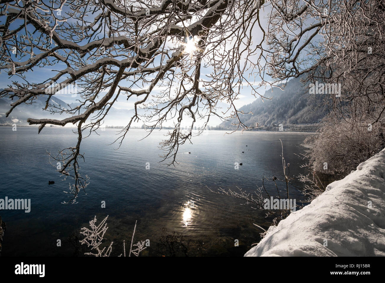 Ski resort Zell am See, Austrian Alps at winter Stock Photo - Alamy
