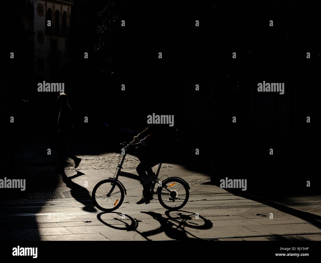 Strong Graphic Shadow Silhouettes of cyclists on bikes in pool of ...