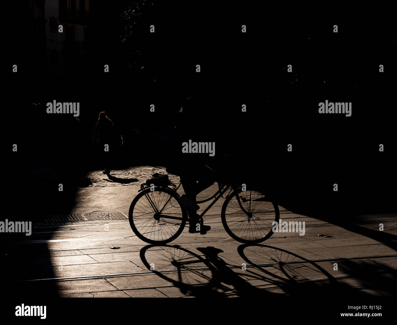 Strong Graphic Shadow Silhouettes of cyclists on bikes in pool of ...