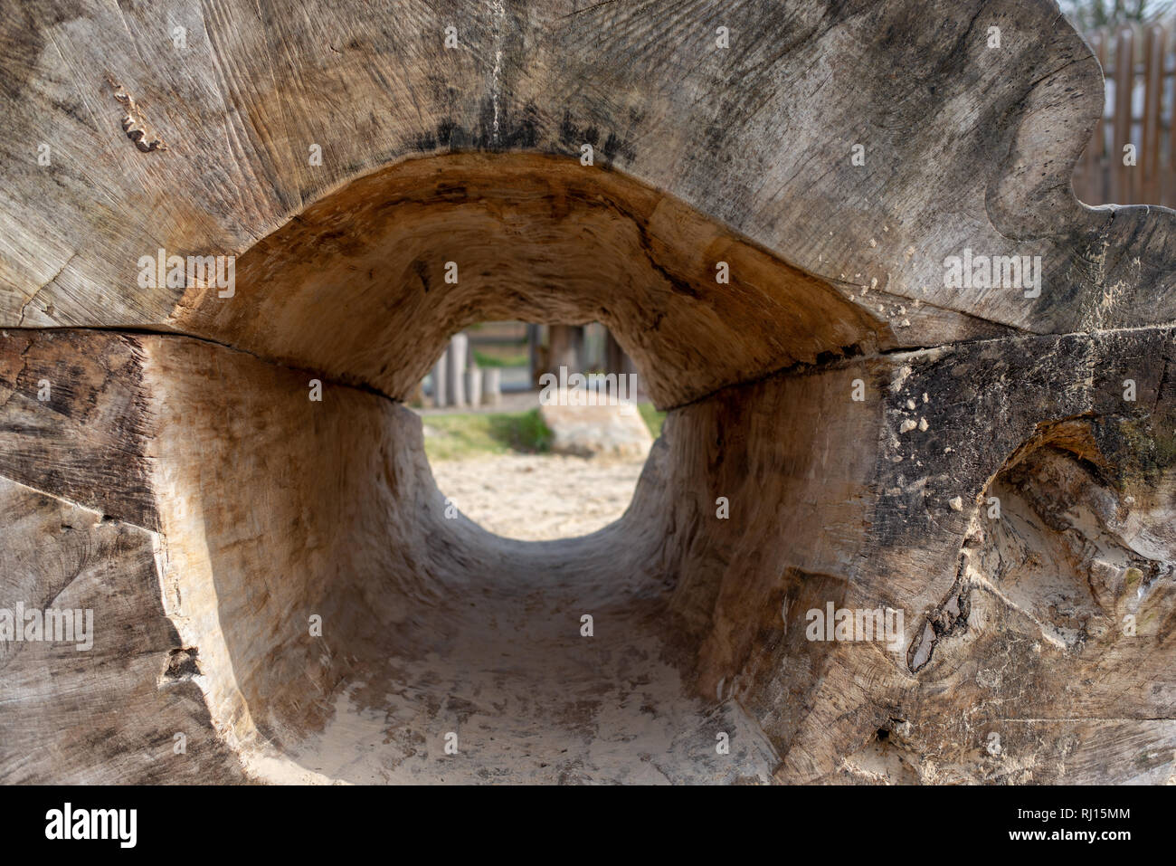 tree stump with hole inside Stock Photo - Alamy