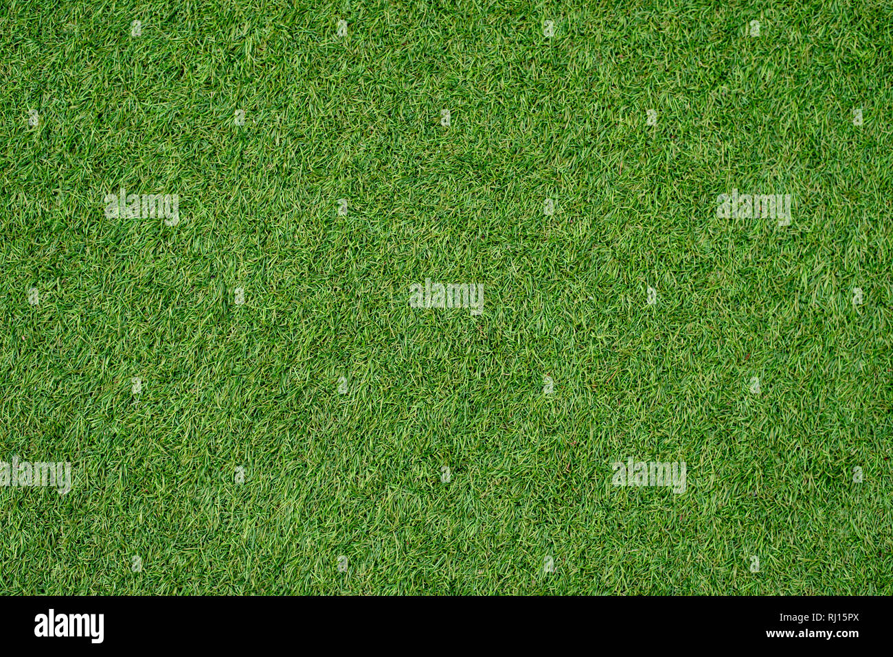 Golf Grass Texture