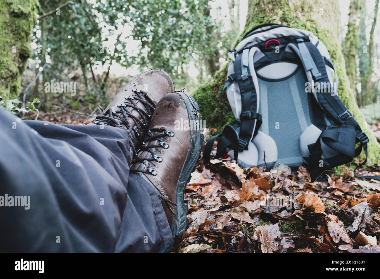 A man sitting in the woods Stock Photo - Alamy