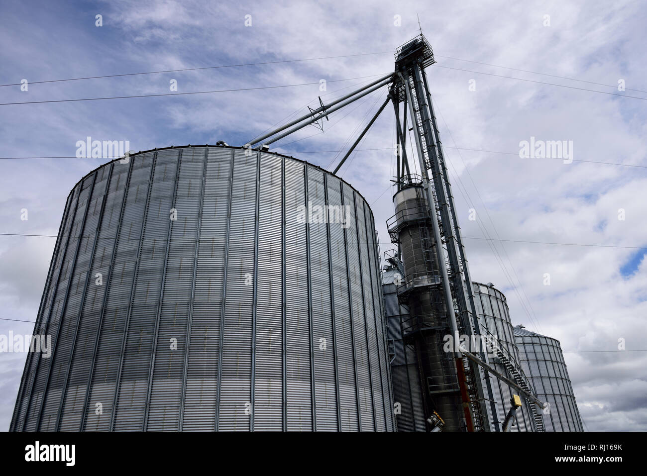 Several massive agricultural steel grain storage silos used for farming ...