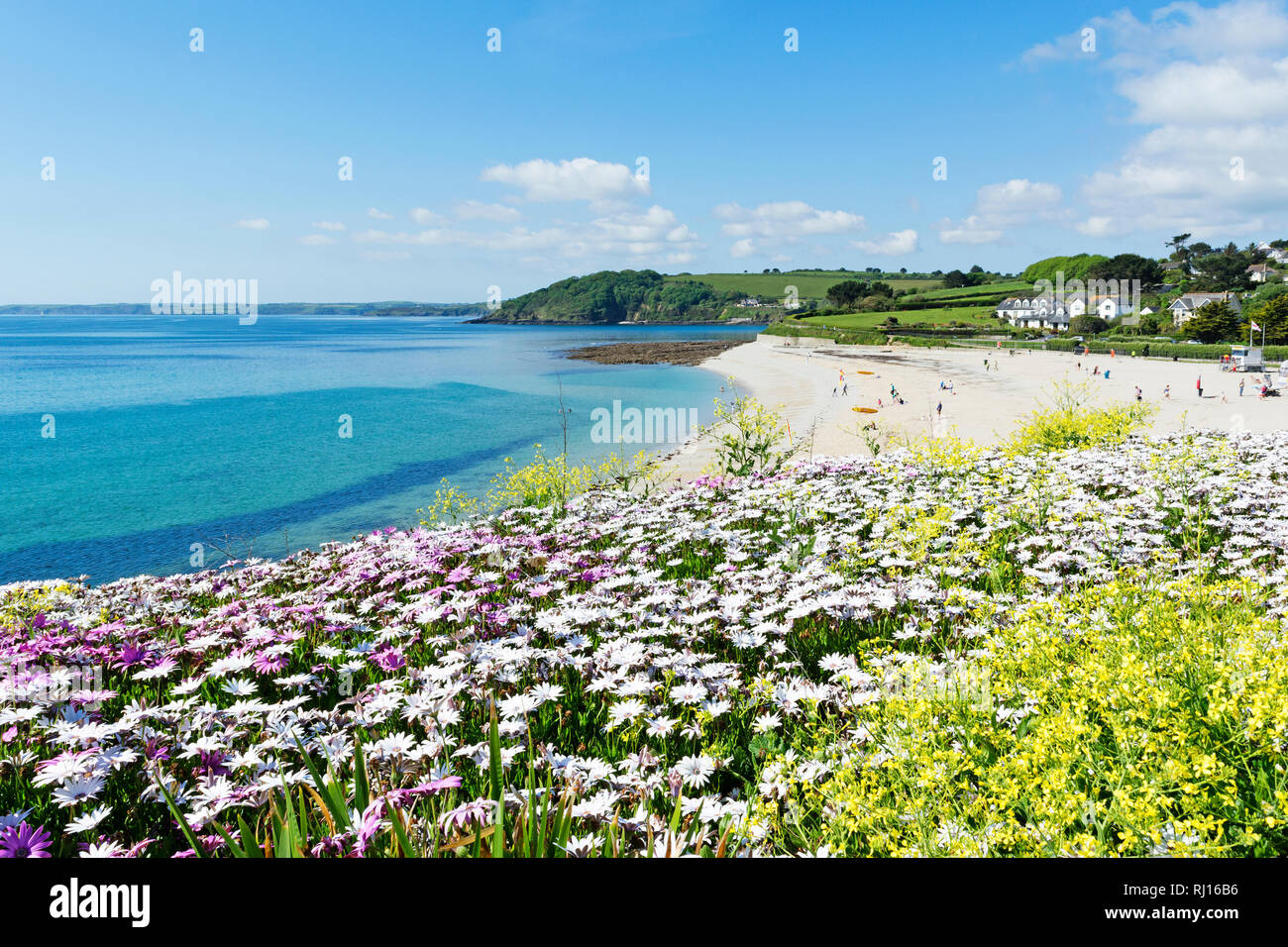 Falmouth hi-res stock photography and images - Alamy
