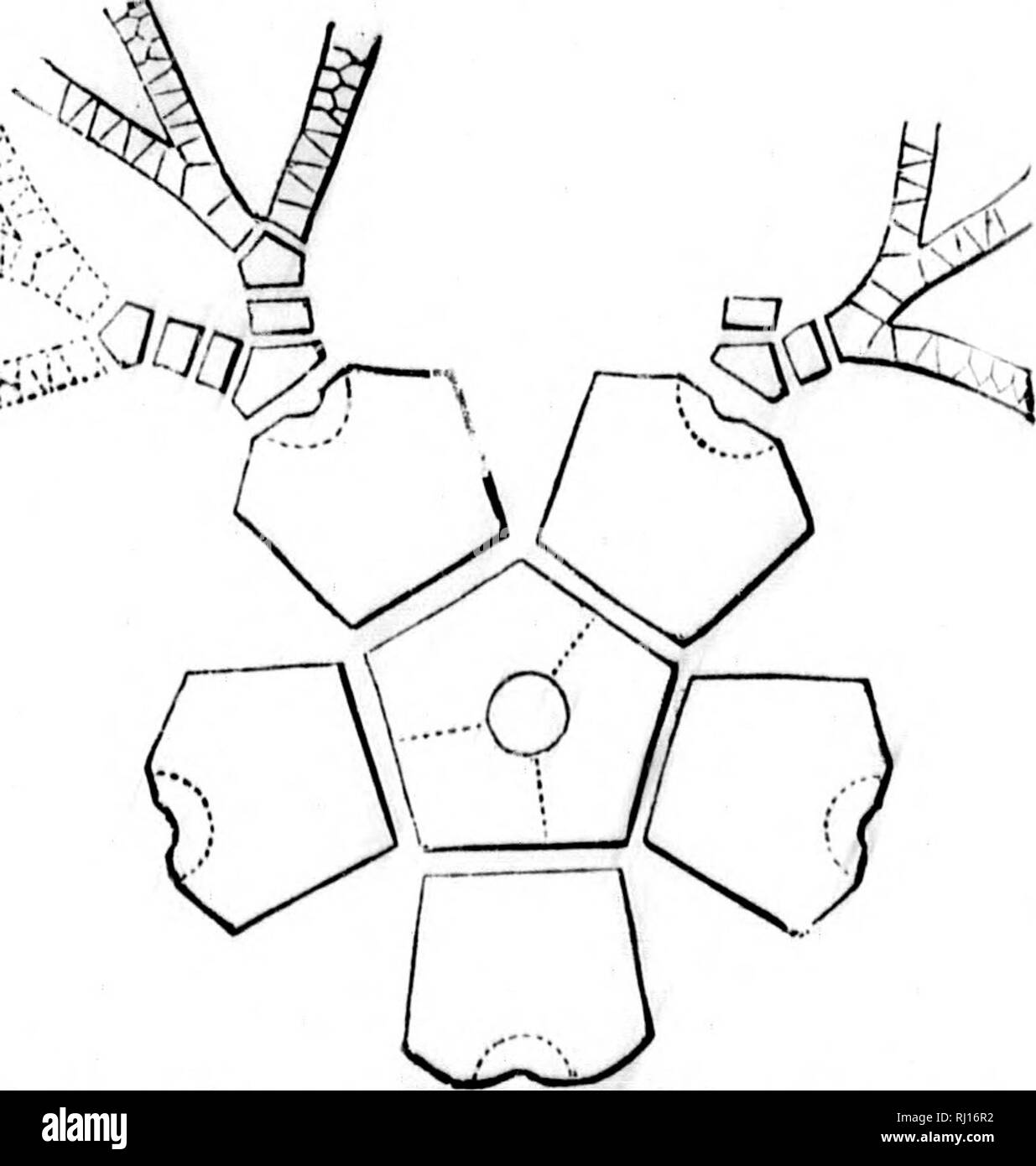 Scat diagram Black and White Stock Photos & Images - Alamy